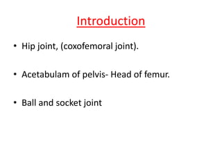 Anatomy and biomechanics of Hip joint | PPTX