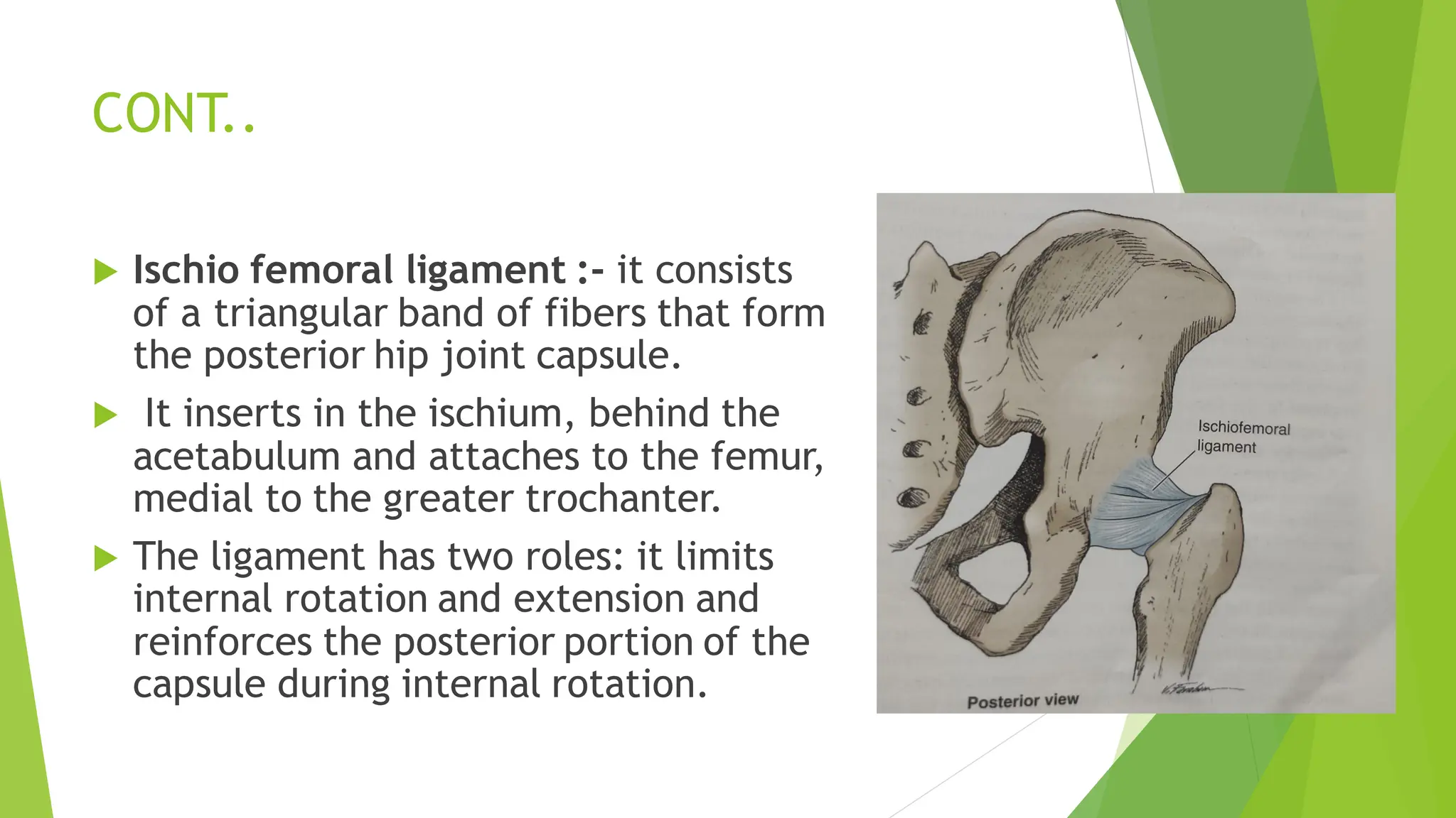 ANATOMY AND BIOMECHANICS OF HIP JOINT.pdf