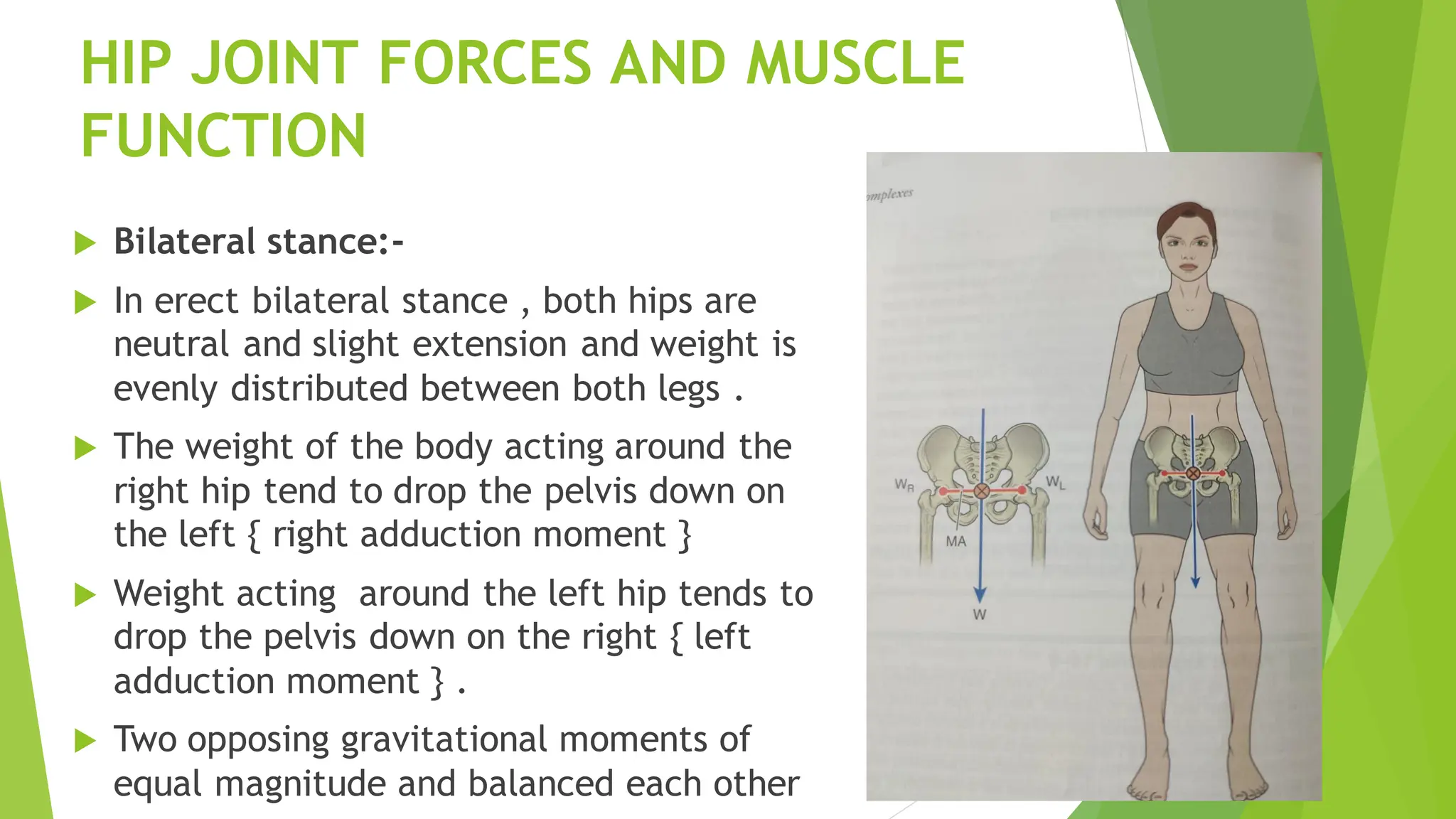 ANATOMY AND BIOMECHANICS OF HIP JOINT.pdf