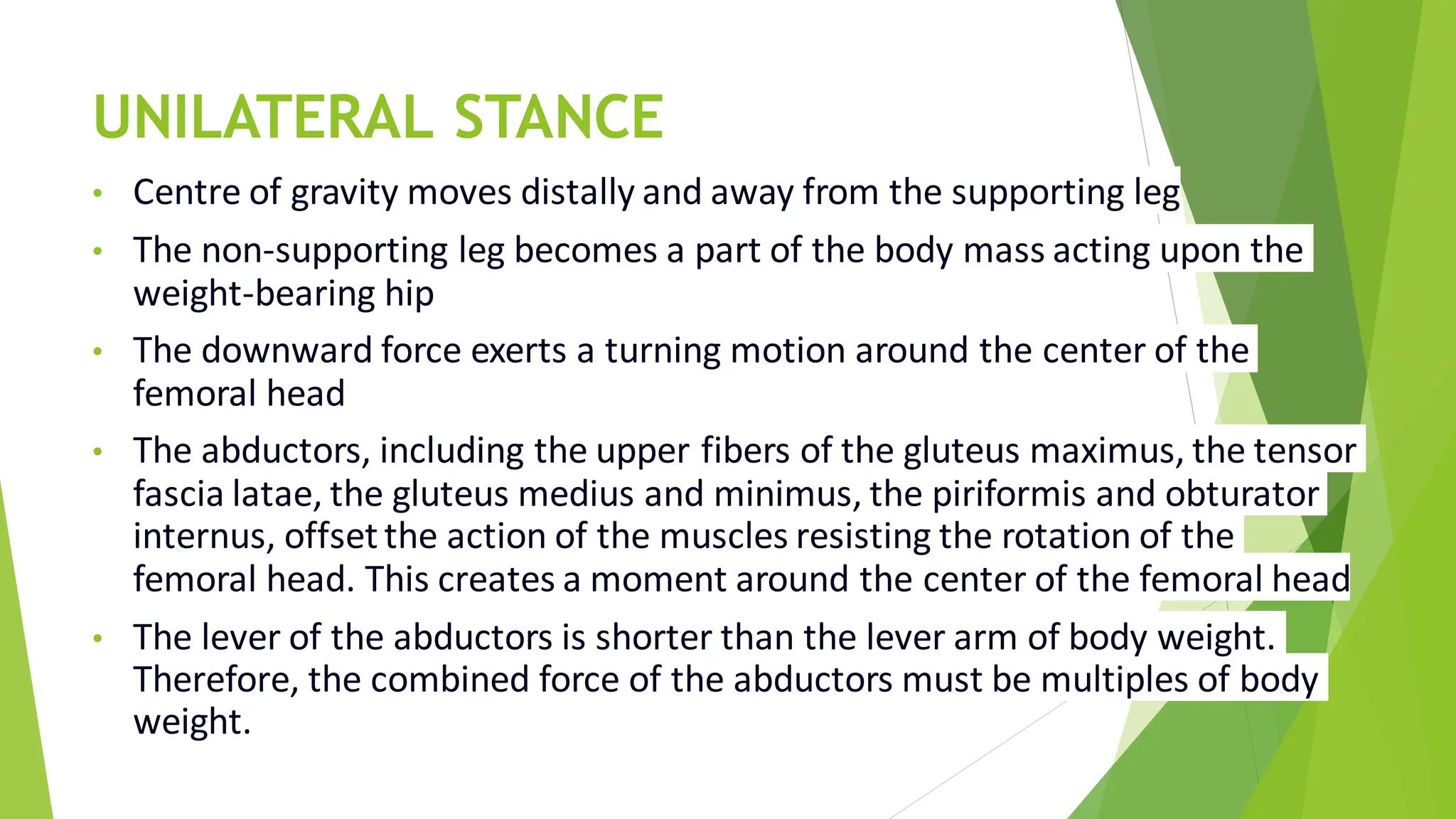 ANATOMY AND BIOMECHANICS OF HIP JOINT.pdf