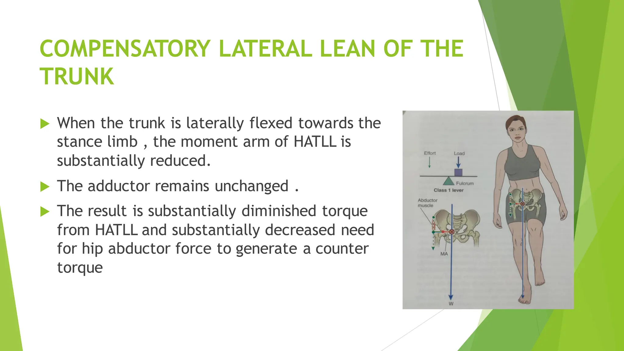 ANATOMY AND BIOMECHANICS OF HIP JOINT.pdf