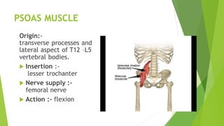 ANATOMY AND BIOMECHANICS OF HIP JOINT.pdf