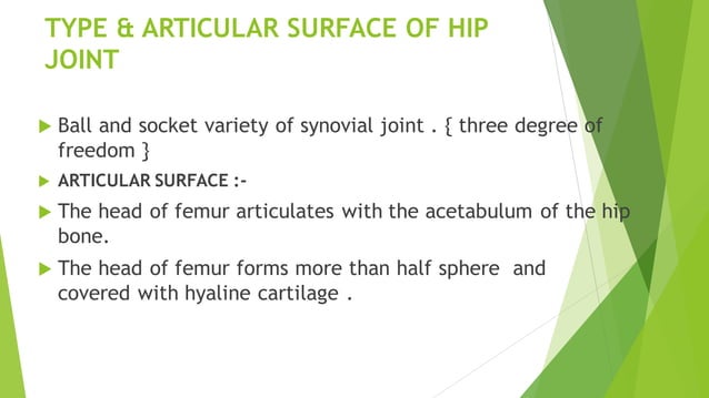 ANATOMY AND BIOMECHANICS OF HIP JOINT.pdf
