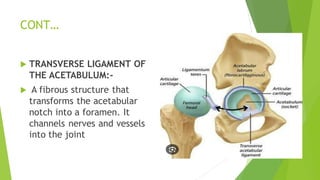 ANATOMY AND BIOMECHANICS OF HIP JOINT.pdf