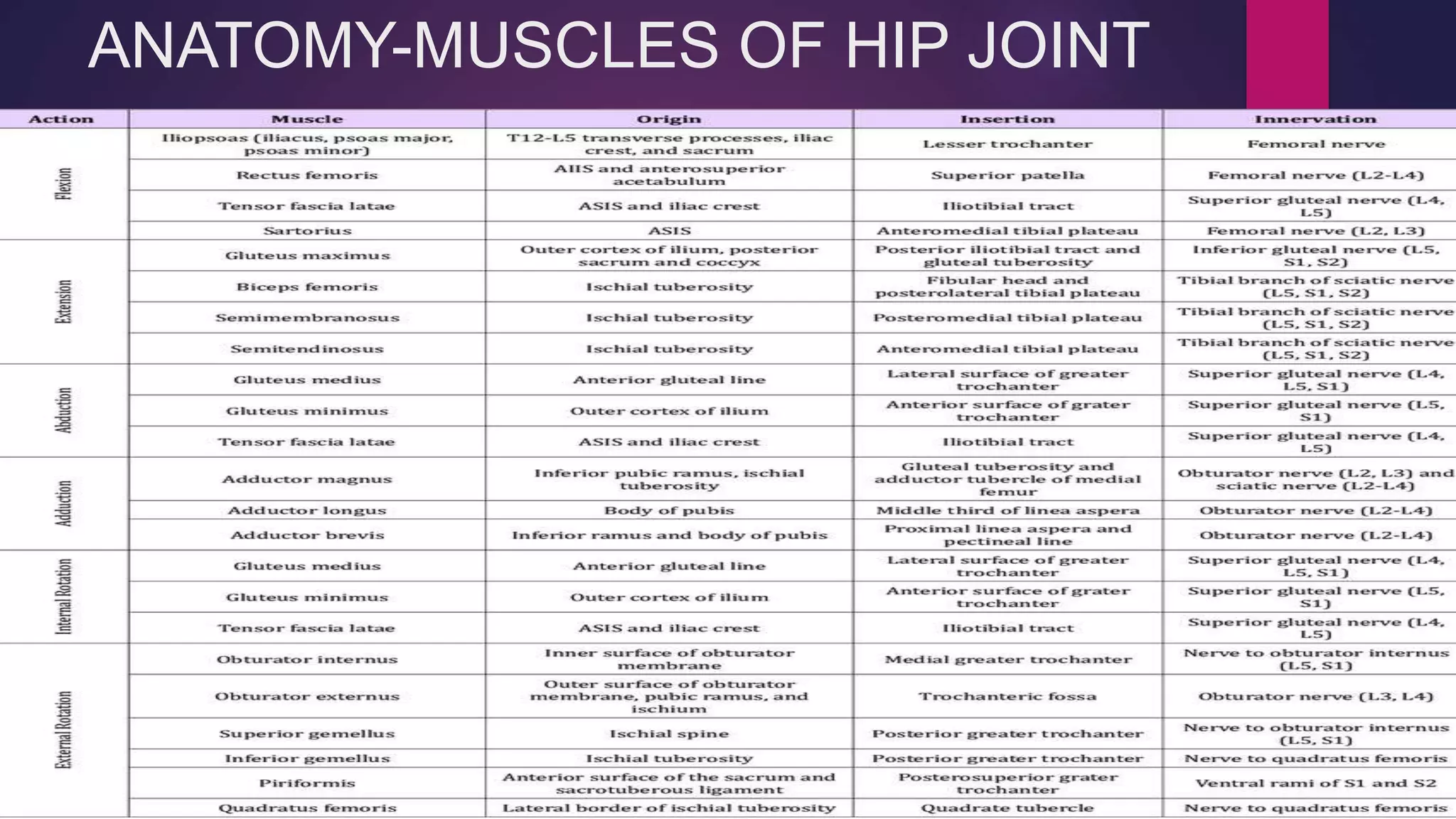 Anatomy and biomechanics of hip joint | PPTX | Death, Injury, or ...