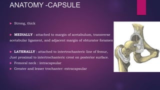 Anatomy and biomechanics of hip joint | PPTX