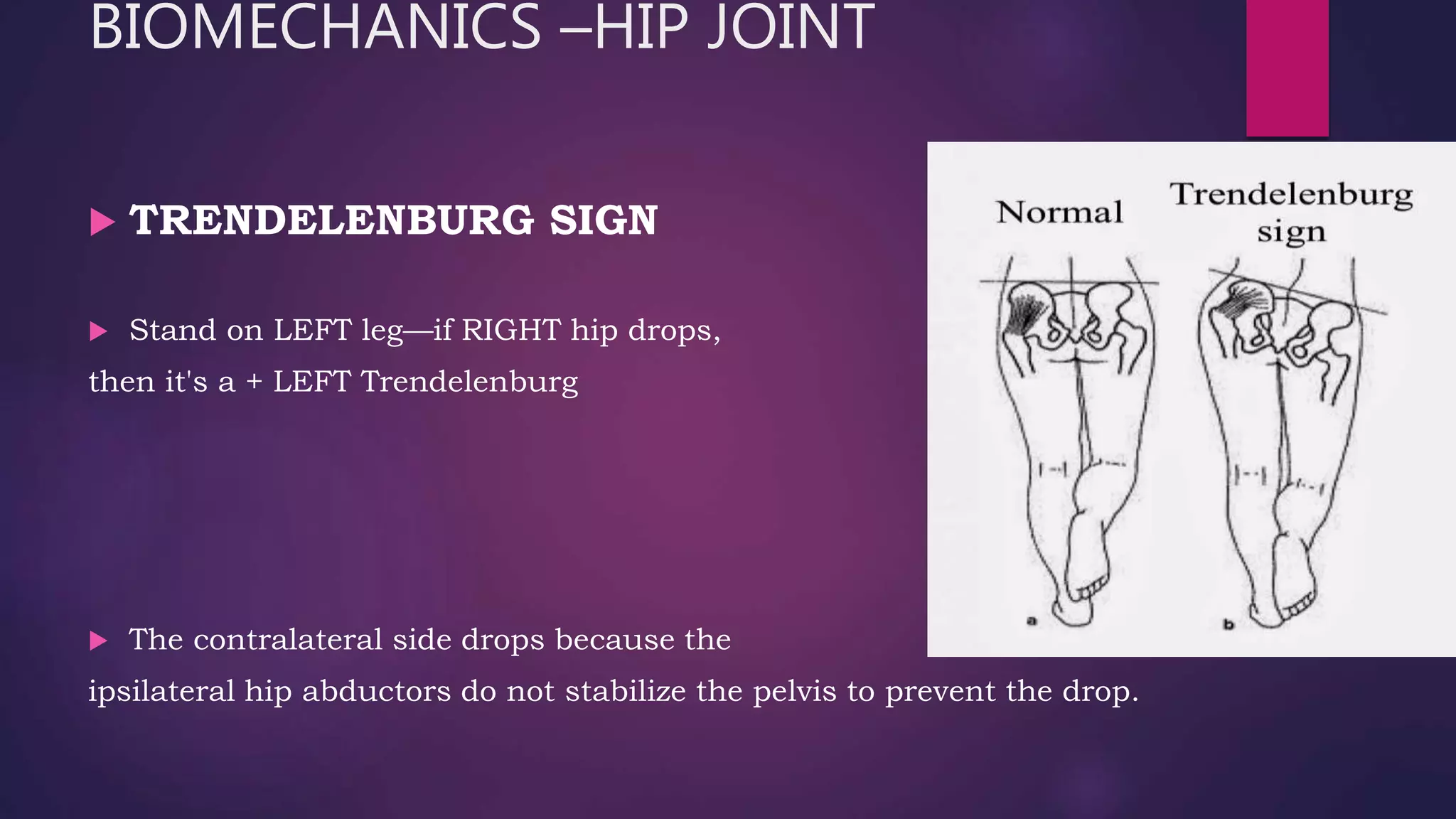 Anatomy and biomechanics of hip joint [autosaved] | PPTX