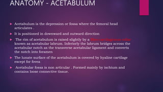 Anatomy and biomechanics of hip joint [autosaved] | PPTX