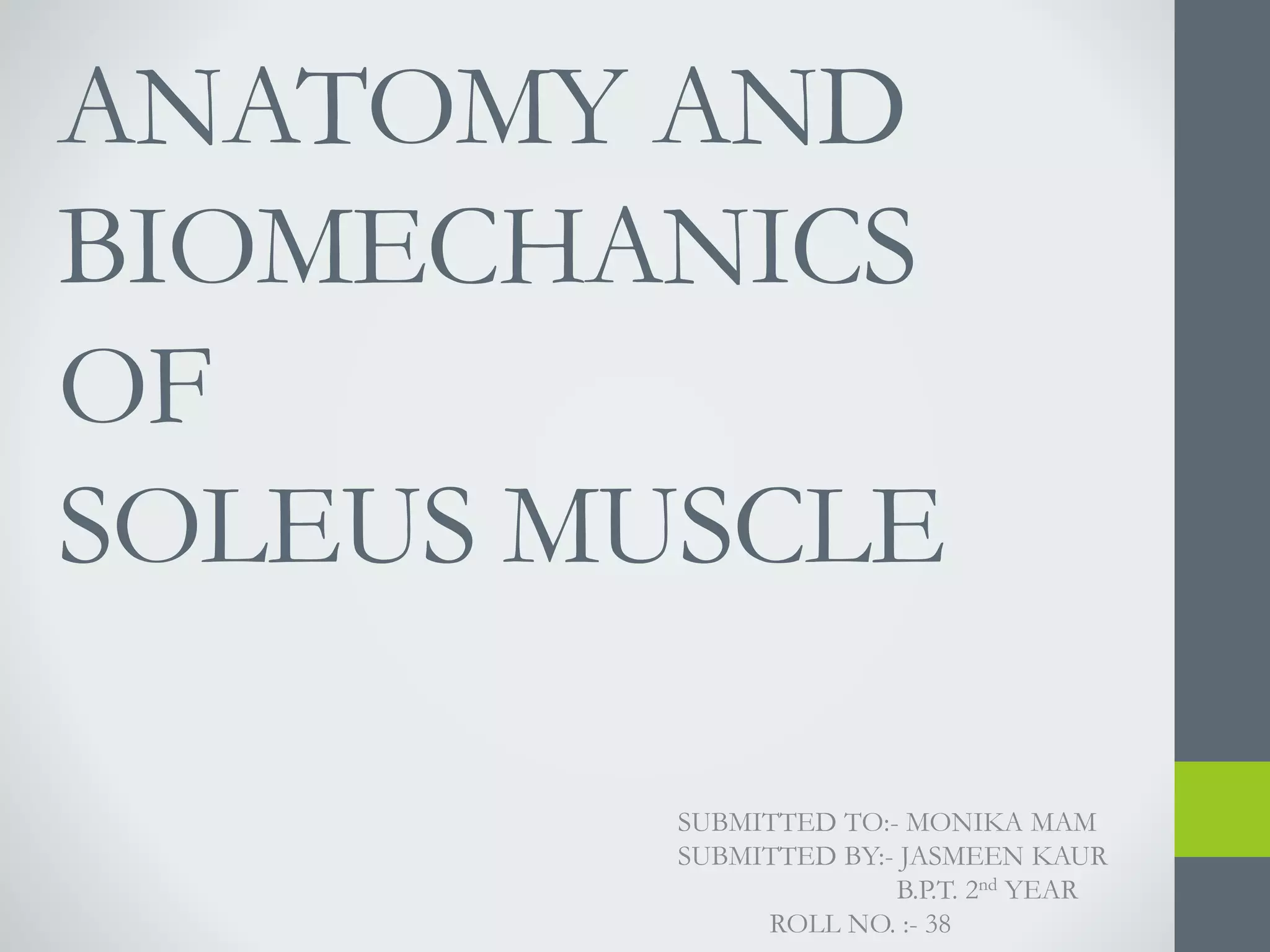 Anatomy and biomechanics of soleus muscle | PPTX