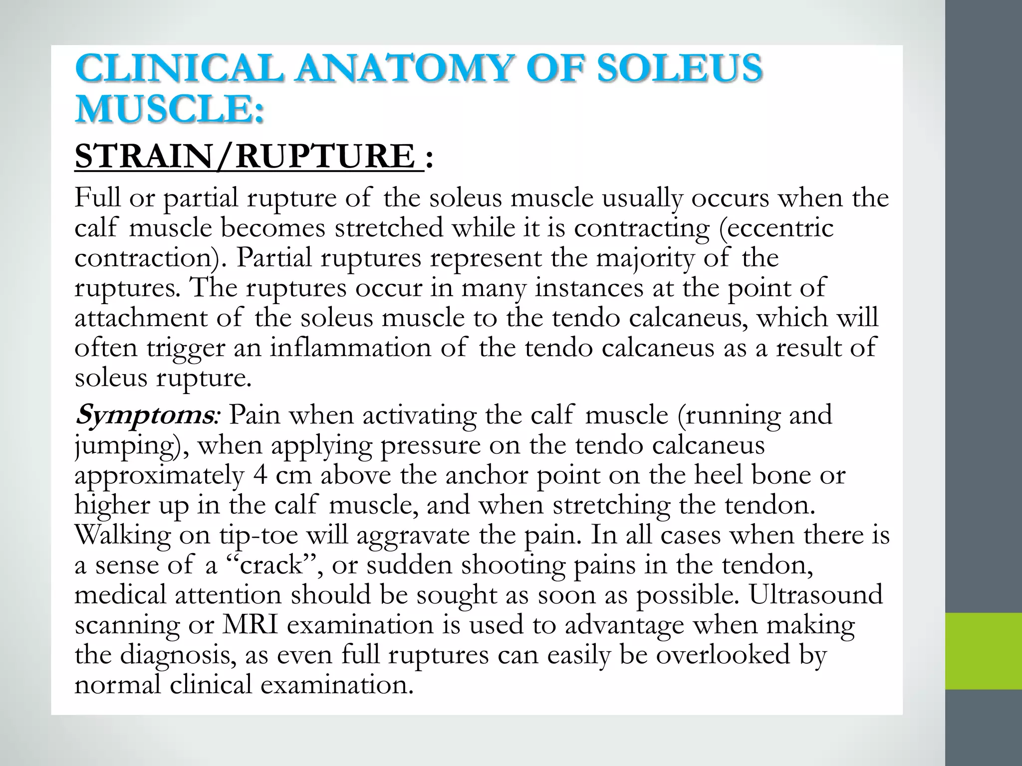 Anatomy and biomechanics of soleus muscle | PPTX
