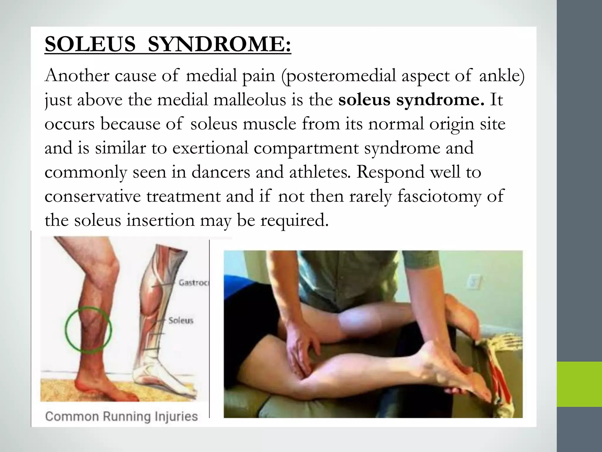Anatomy and biomechanics of soleus muscle | PPTX