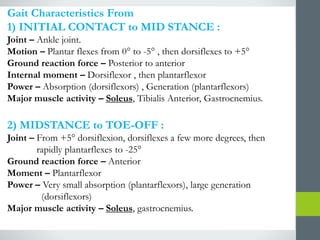 Anatomy and biomechanics of soleus muscle | PPTX