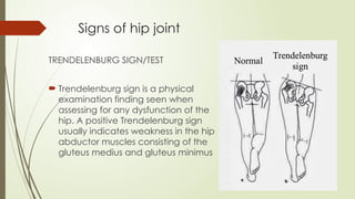 ANATOMY AND BLOOD SUPPLY OF HIP JOINT copy.pptx