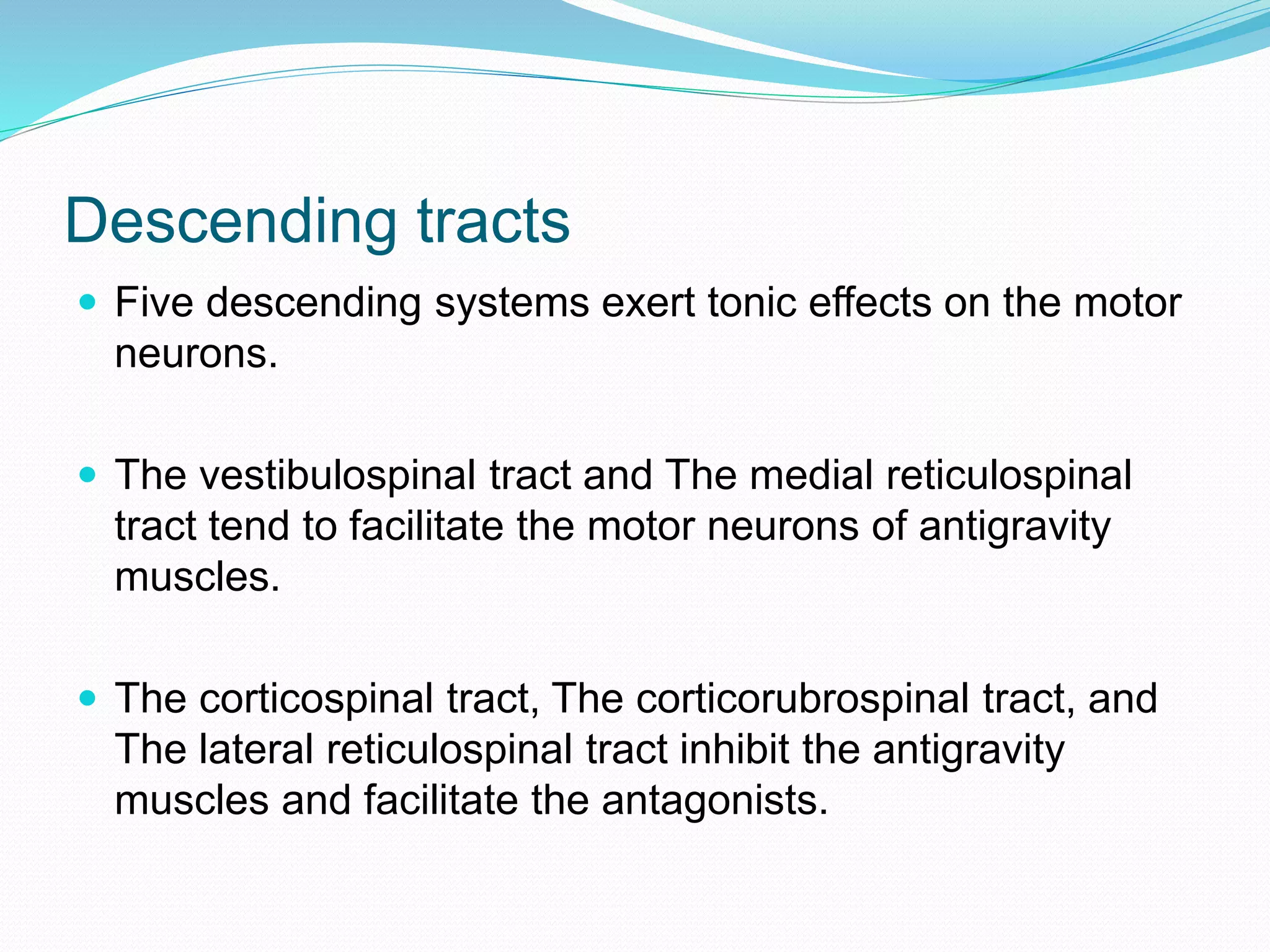 Anatomy and blood supply of spinal cord | PPTX