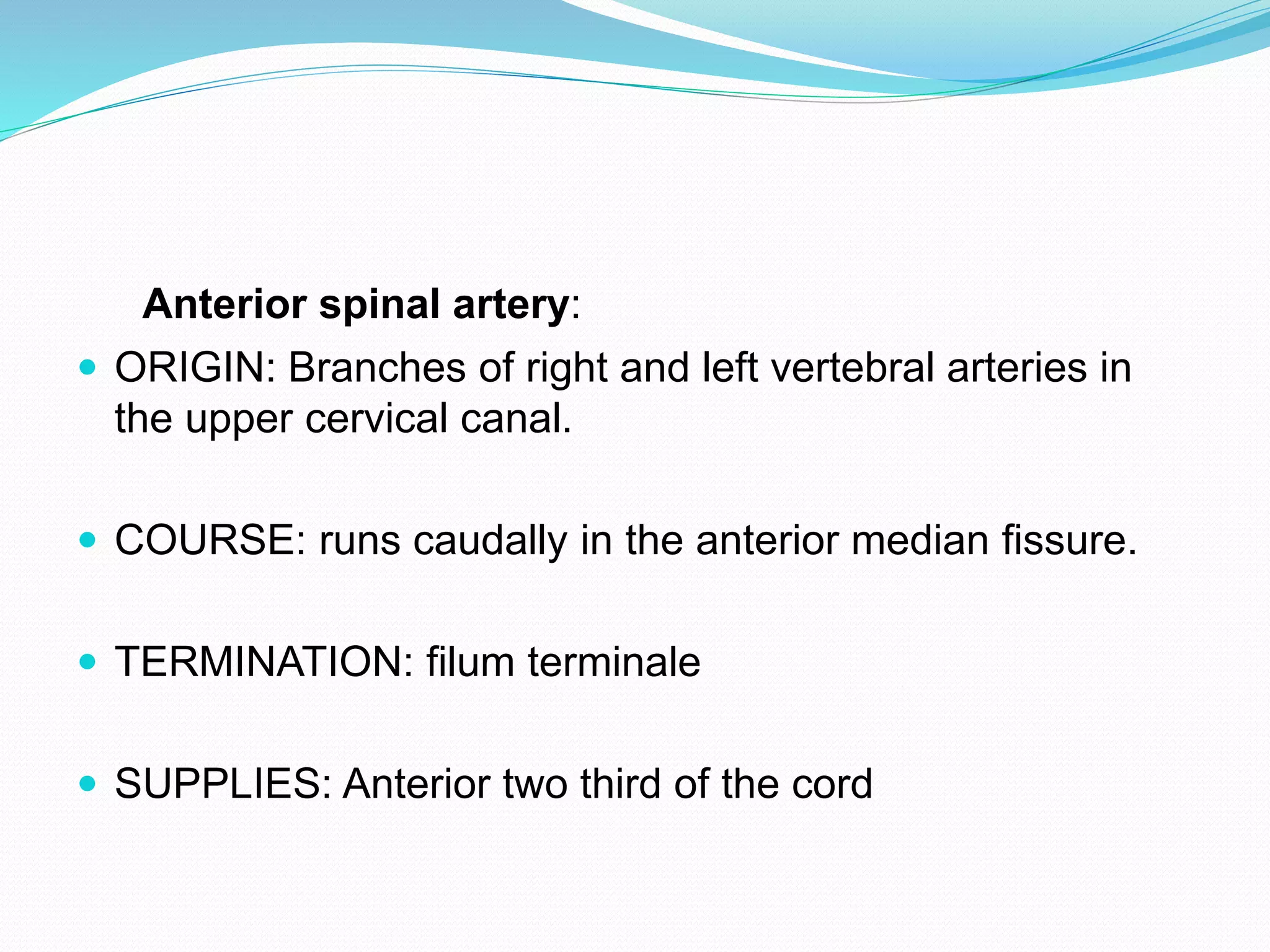 Anatomy and blood supply of spinal cord | PPTX