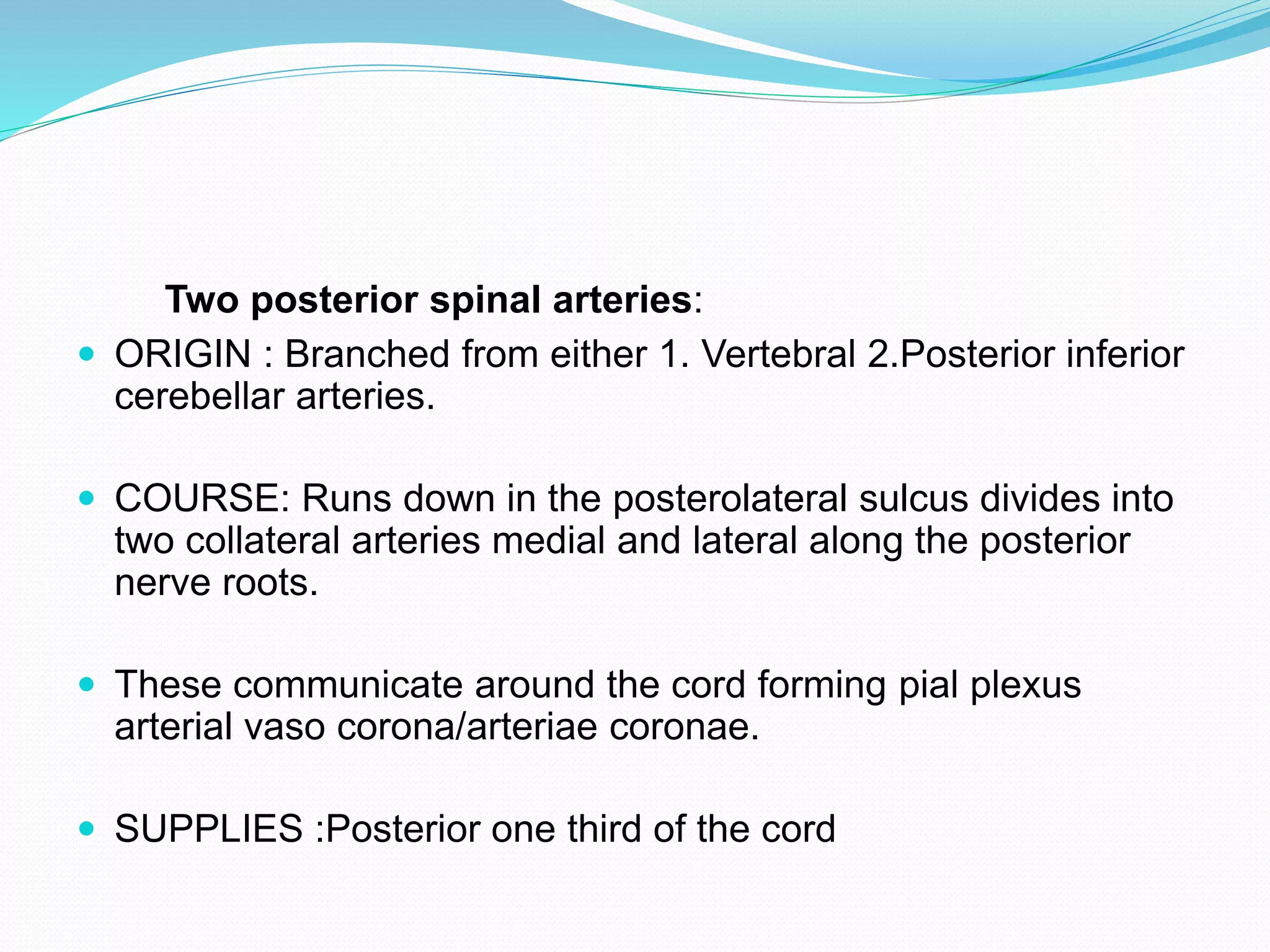 Anatomy and blood supply of spinal cord | PPTX
