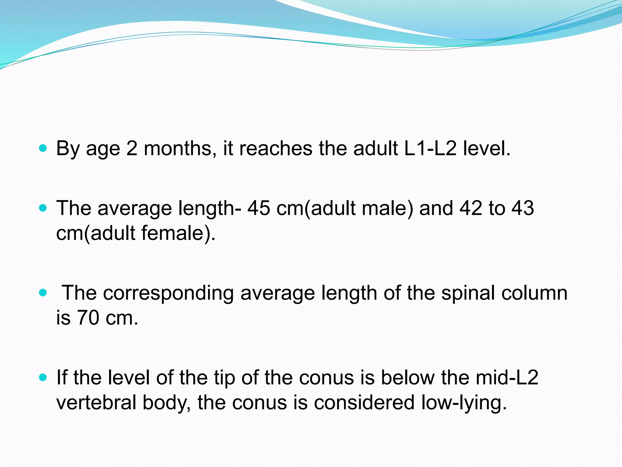 Anatomy and blood supply of spinal cord | PPTX