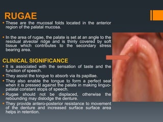Anatomy and clinical significance of denture bearing areas | PPTX