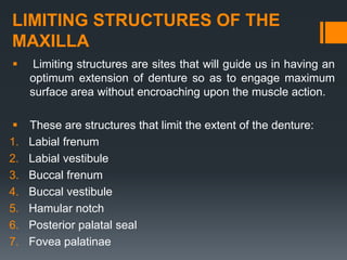 Anatomy and clinical significance of denture bearing areas | PPTX