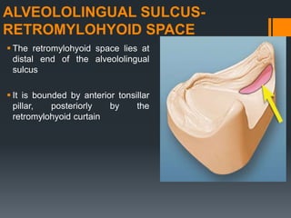Retromylohyoid Space
