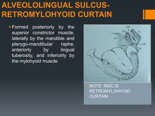 Retromylohyoid Space