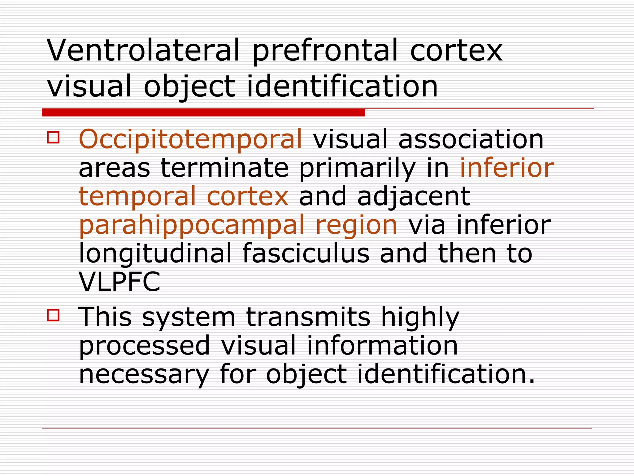 Anatomy And Connections Of Prefrontal Cortex | PPT