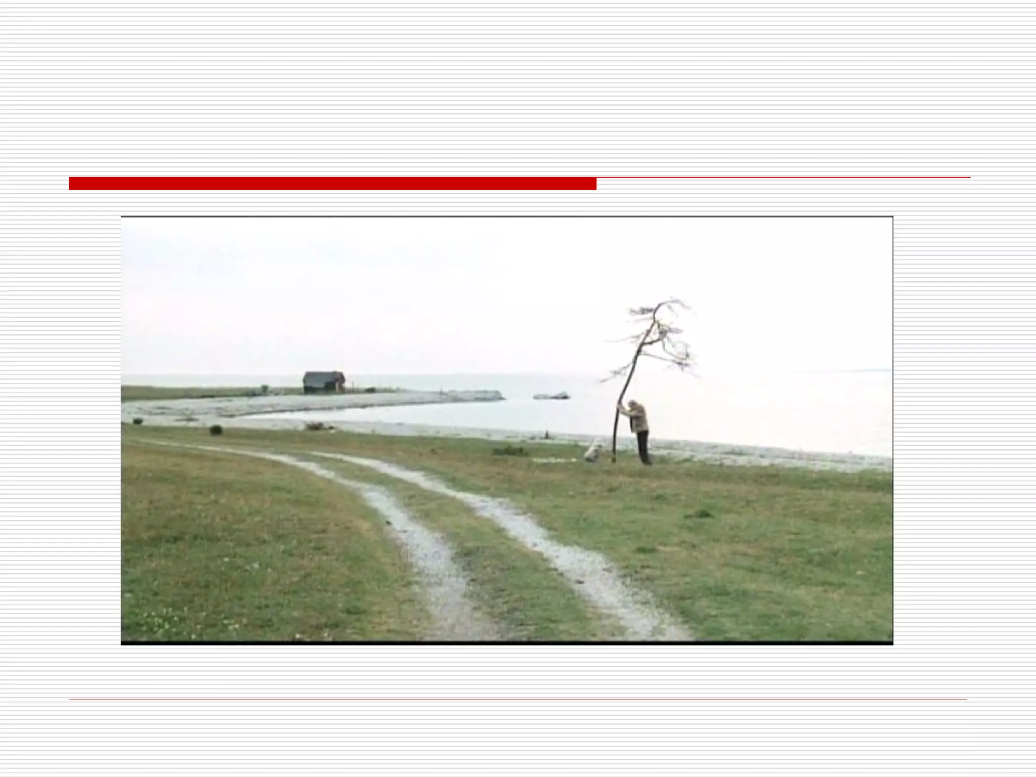 Anatomy And Connections Of Prefrontal Cortex | PPT