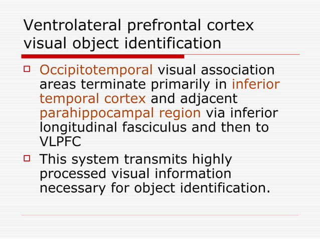 Anatomy And Connections Of Prefrontal Cortex | PPT
