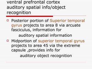 Anatomy And Connections Of Prefrontal Cortex | PPT