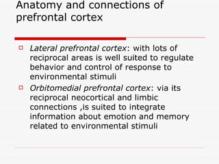Anatomy And Connections Of Prefrontal Cortex | PPT