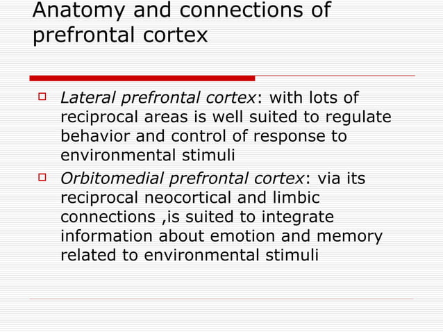 Anatomy And Connections Of Prefrontal Cortex | PPT