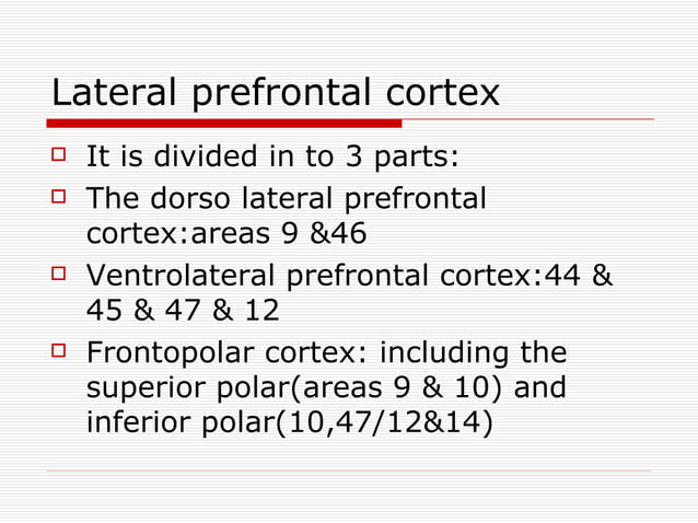 Anatomy And Connections Of Prefrontal Cortex | PPT