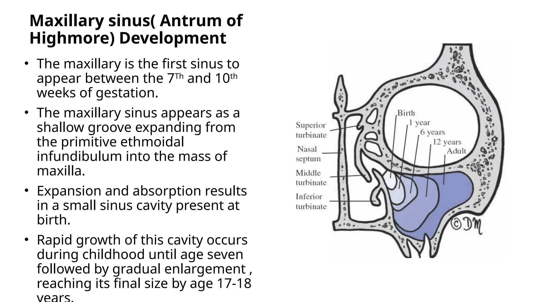 ANATOMY AND DEVELOPMENT OF PARANASAL SINUSES 2.pptx