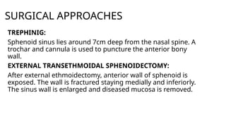 ANATOMY AND DEVELOPMENT OF PARANASAL SINUSES 2.pptx