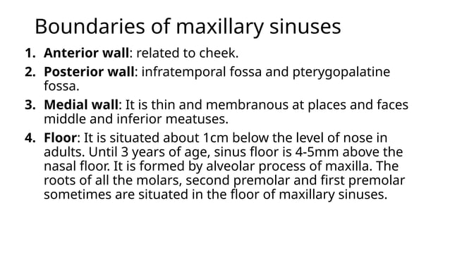 ANATOMY AND DEVELOPMENT OF PARANASAL SINUSES 2.pptx