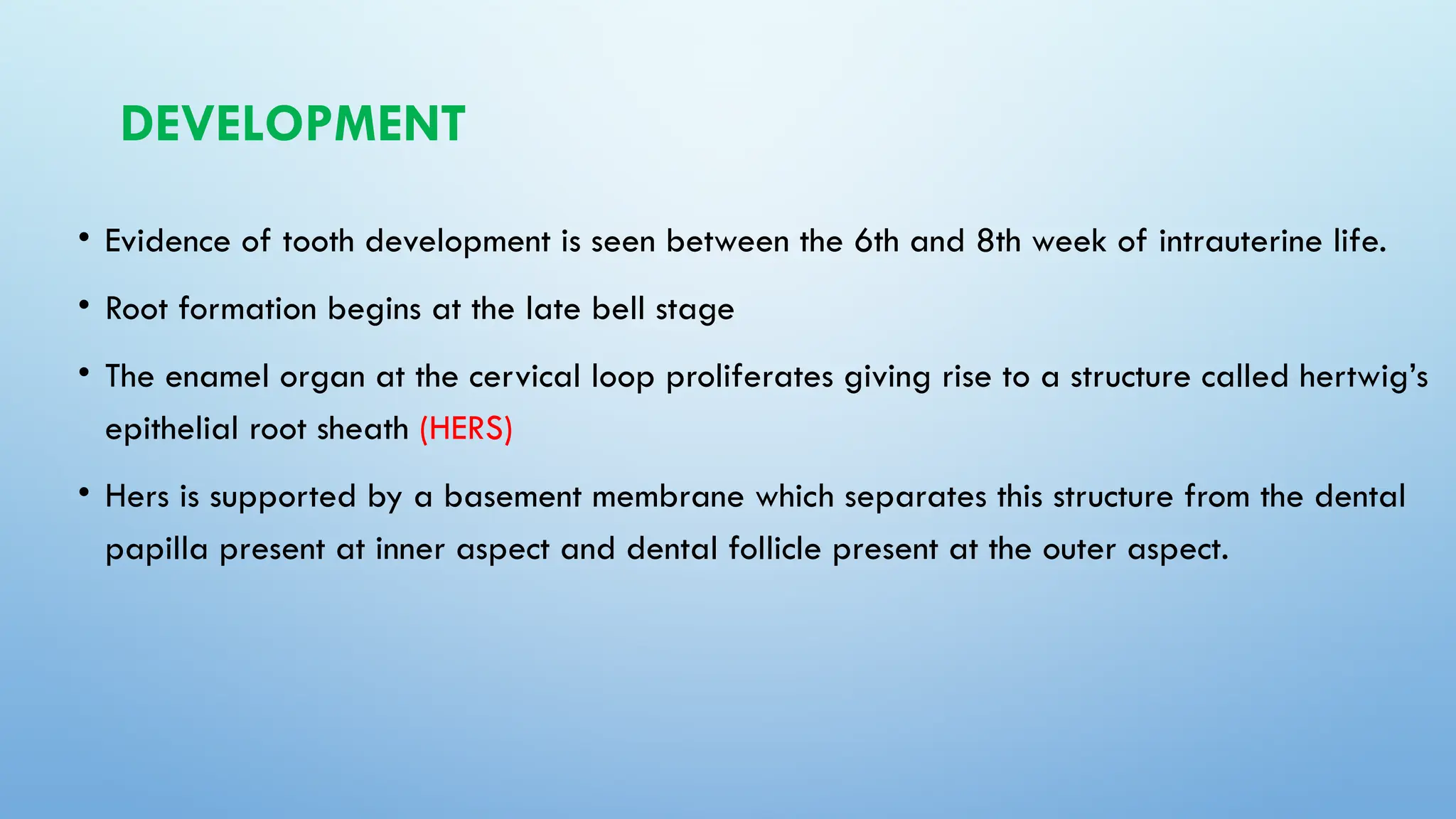 anatomy and development of periodontal tissues.pptx