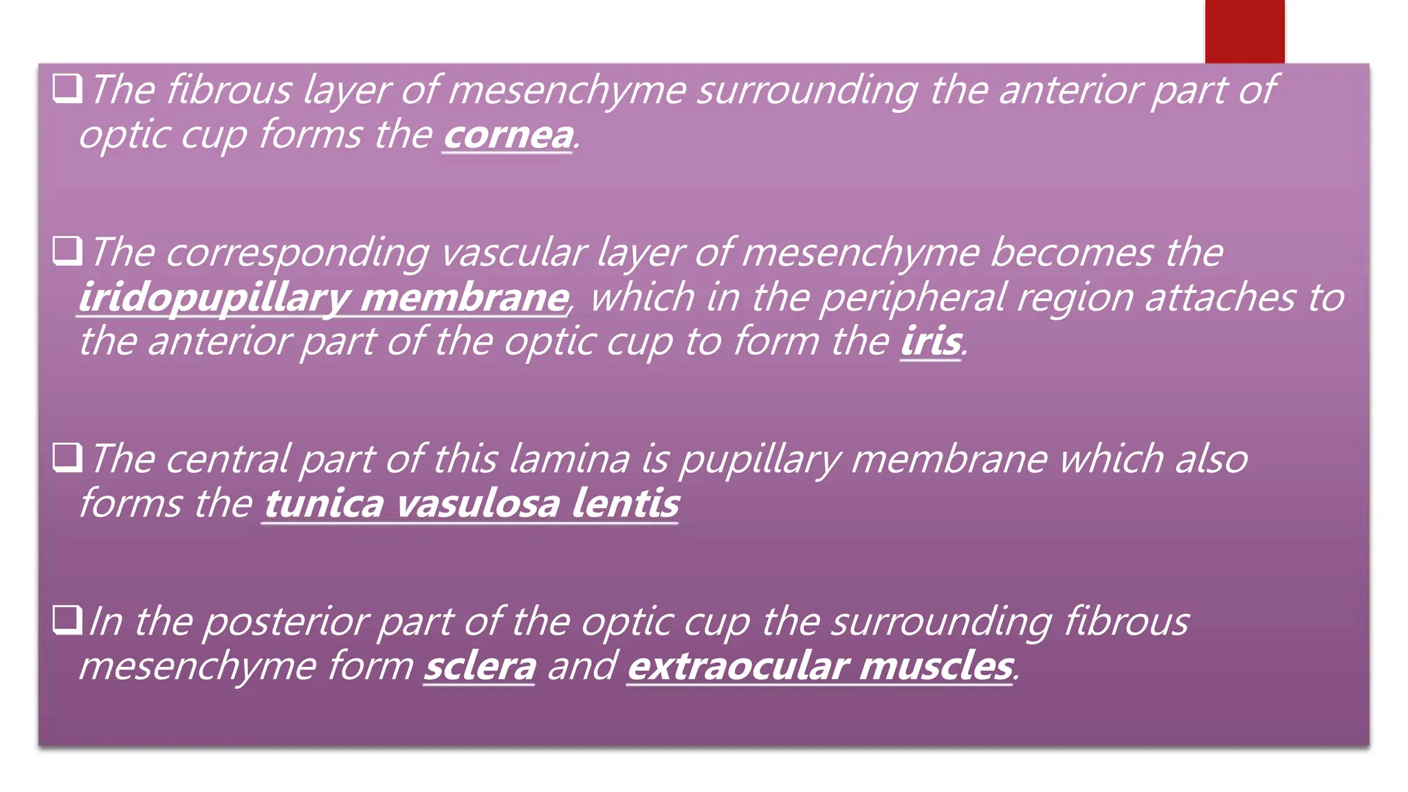 ANATOMY AND DEVELOPMENT OF THE HUMAN EYE. | PPTX