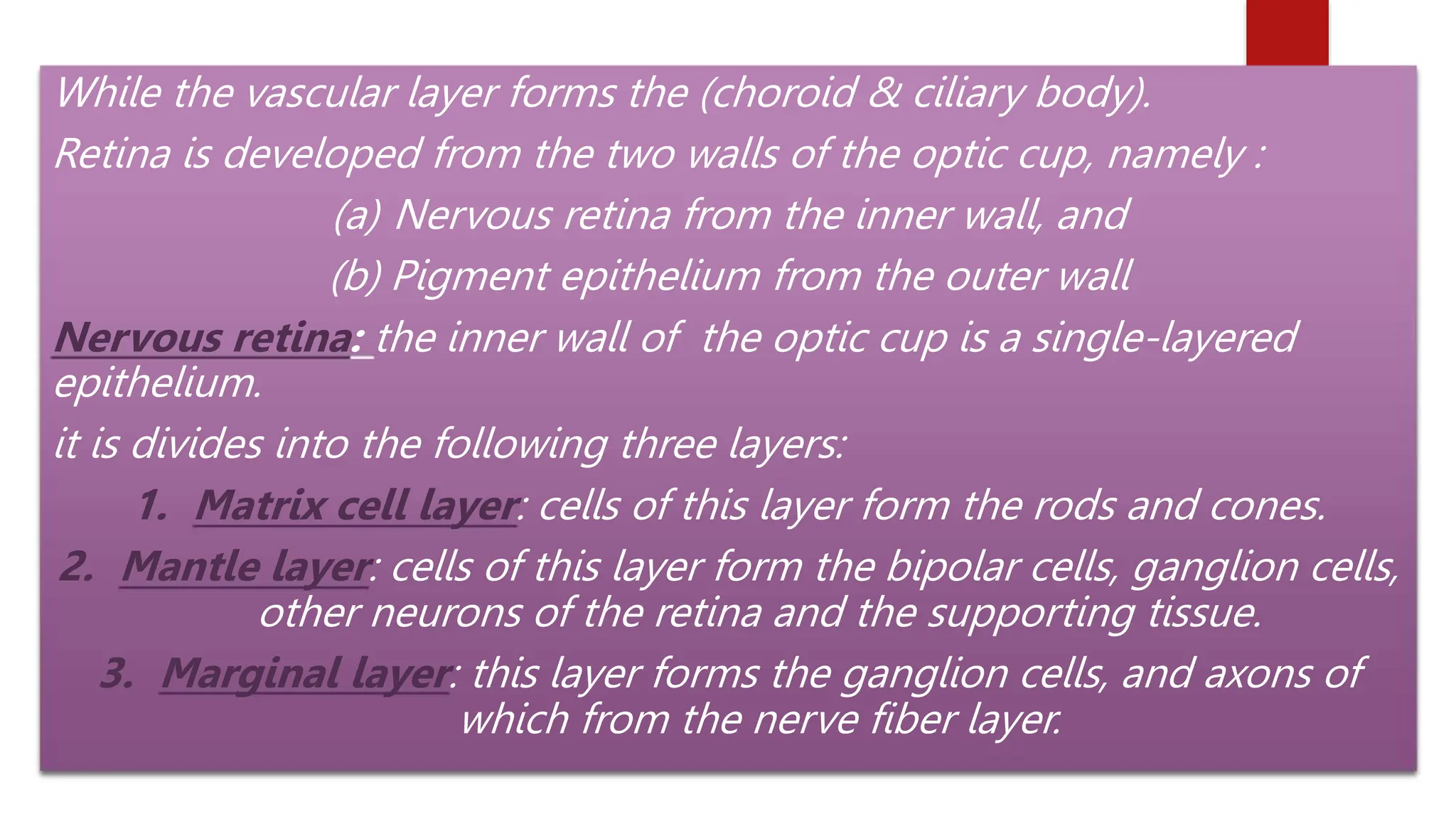 ANATOMY AND DEVELOPMENT OF THE HUMAN EYE. | PPTX