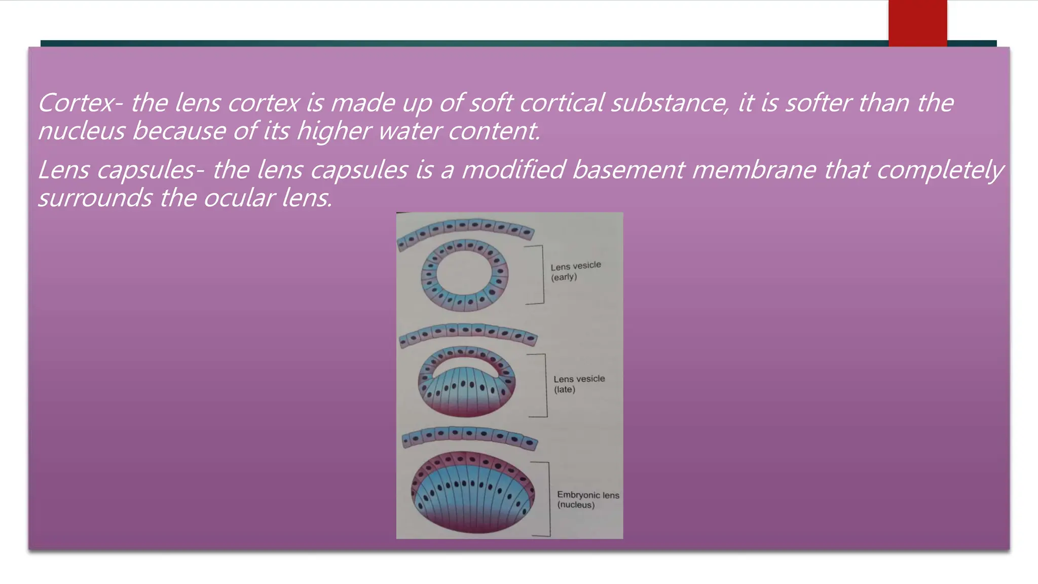 ANATOMY AND DEVELOPMENT OF THE HUMAN EYE. | PPTX