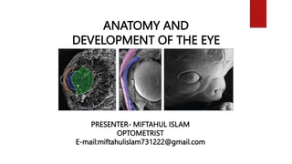 ANATOMY AND DEVELOPMENT OF THE HUMAN EYE. | PPT