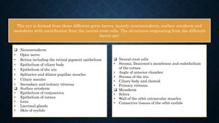 ANATOMY AND DEVELOPMENT OF THE HUMAN EYE. | PPT
