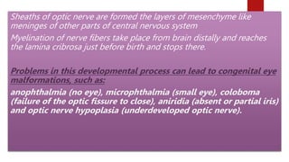 ANATOMY AND DEVELOPMENT OF THE HUMAN EYE. | PPT