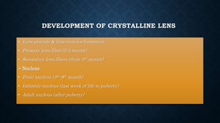 ANATOMY AND DEVELOPMENT OF THE HUMAN EYE. | PPT