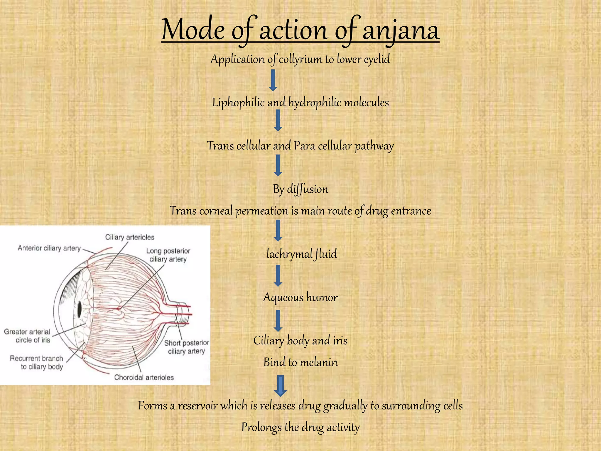 Anatomy and dinacharya | PPTX