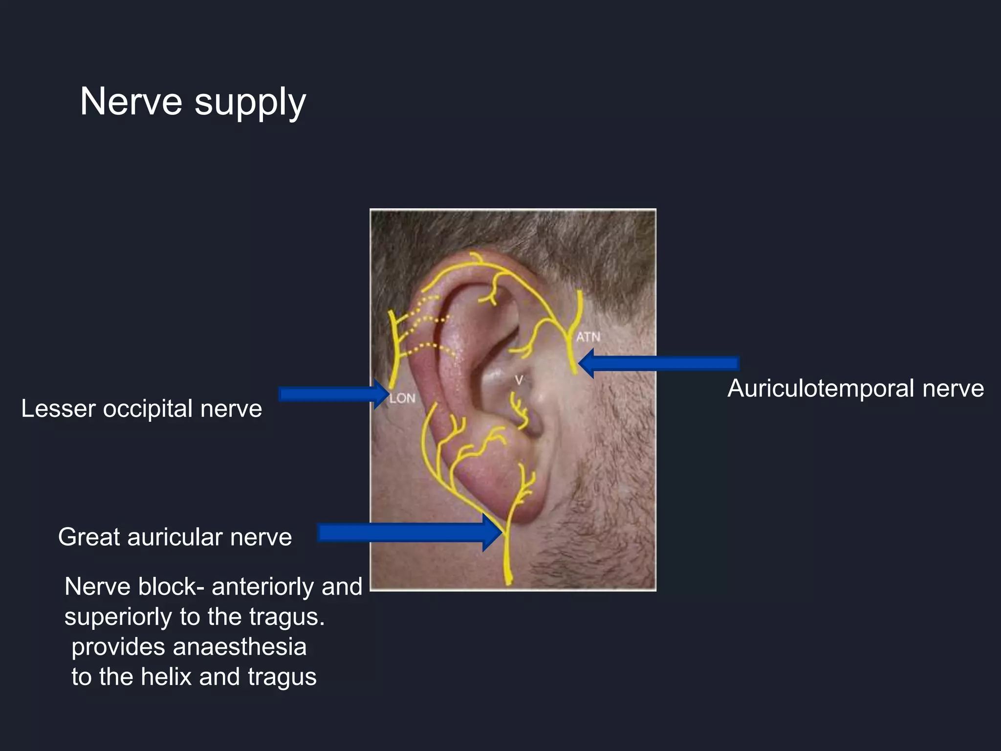 anatomy and disease of ext ear.pptx