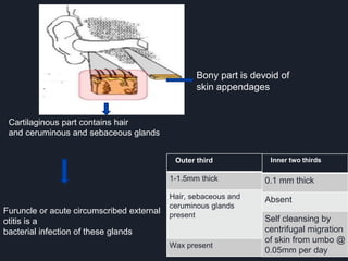 anatomy and disease of ext ear.pptx