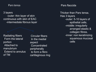 anatomy and disease of ext ear.pptx