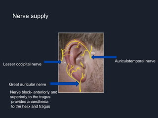 anatomy and disease of ext ear.pptx