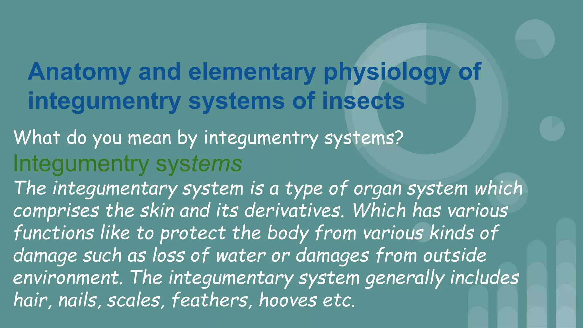 Anatomy and elementary physiology of integumentry systems of insects | PPTX