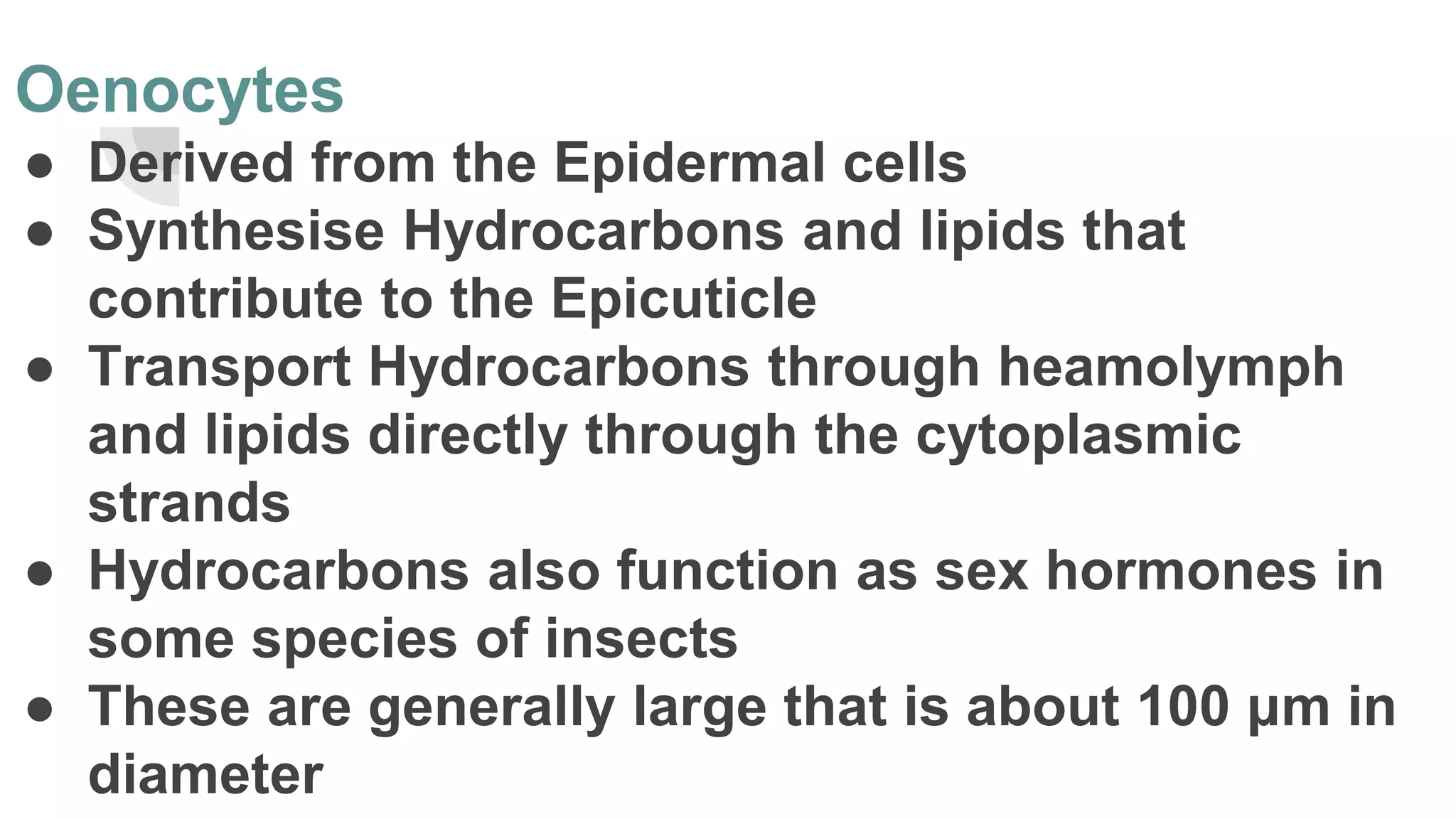 Anatomy and elementary physiology of integumentry systems of insects | PPTX